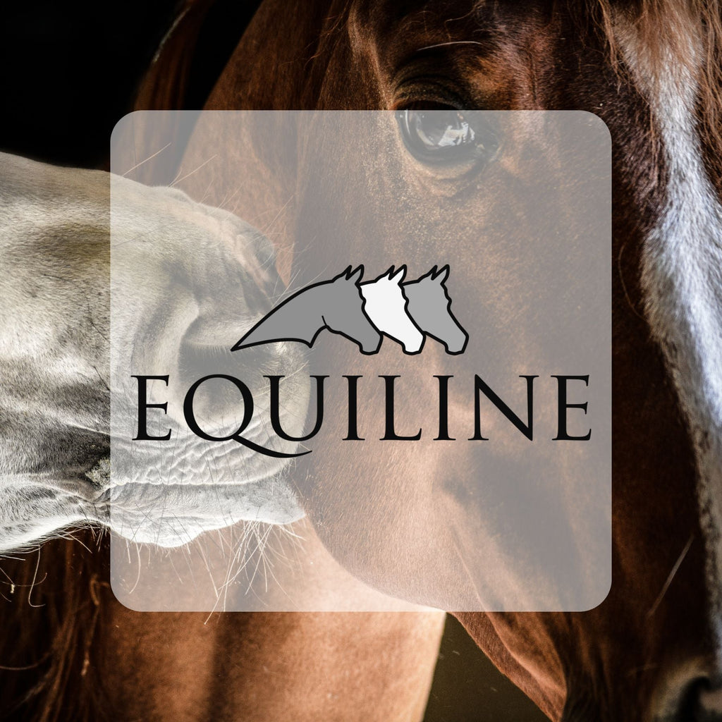 Equiline 🩷 shoppe dich glücklich