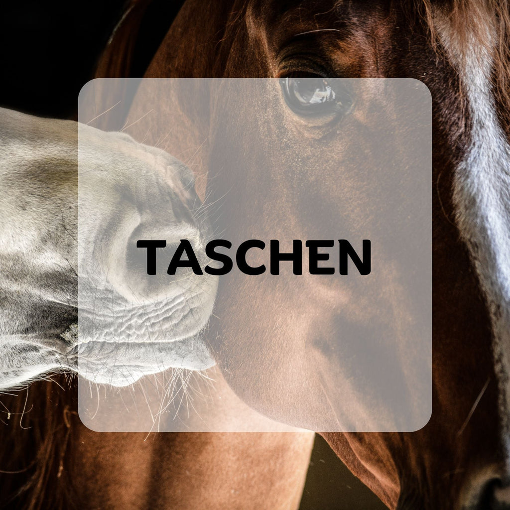 Reitsport Taschen für Reiter – Seite 3